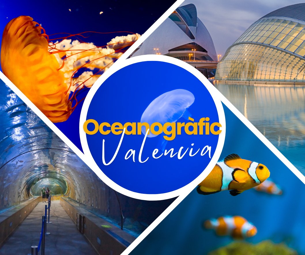 Oceanografic Valencia Logo Oceanogràfic Of Valencia