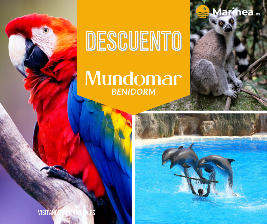 Espectáculo en Benidorm Palace - Entradas 2025 • Marinea